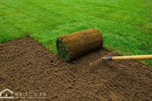 Refaire son gazon : comment avoir une nouvelle pelouse ? - Plans.fr