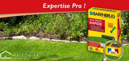 Refaire son gazon : comment avoir une nouvelle pelouse ? - Plans.fr