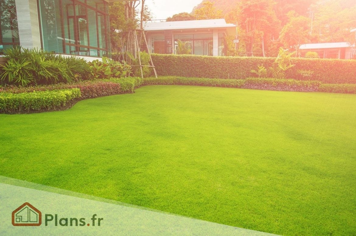 Quel gazon choisir pour sa pelouse ? - Plans.fr